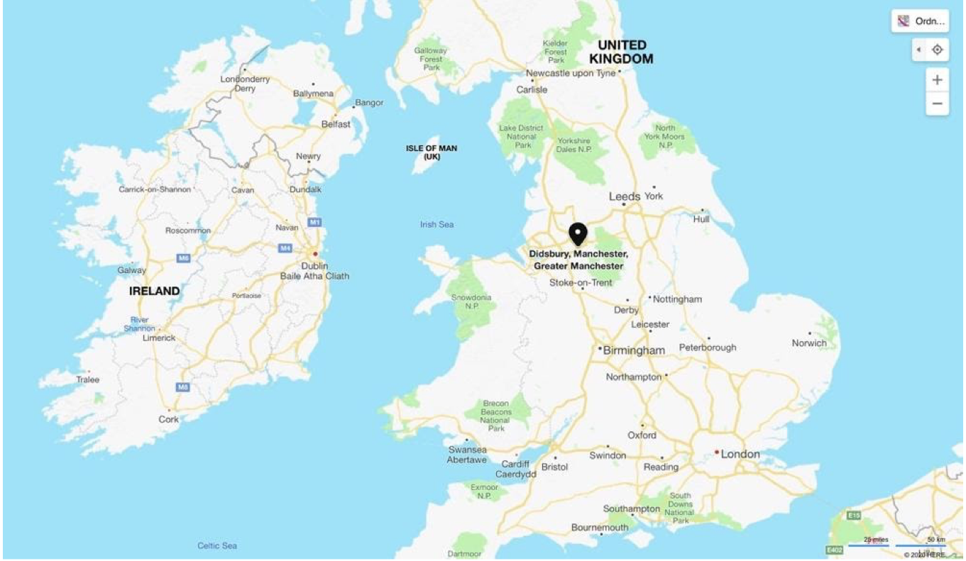 Exploring a new exogenous force: Covid-19 and its effects on Didsbury ...