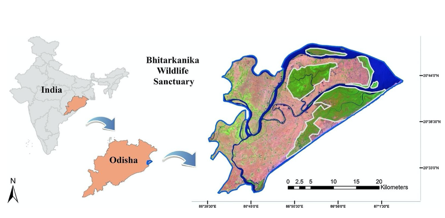 A literature review of ecotourism in India: policy implications and ...