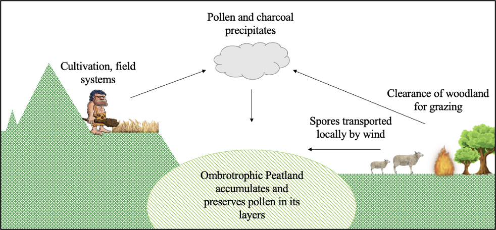 A Palaeoecological Investigation into Vegetation Change at Tor Royal ...